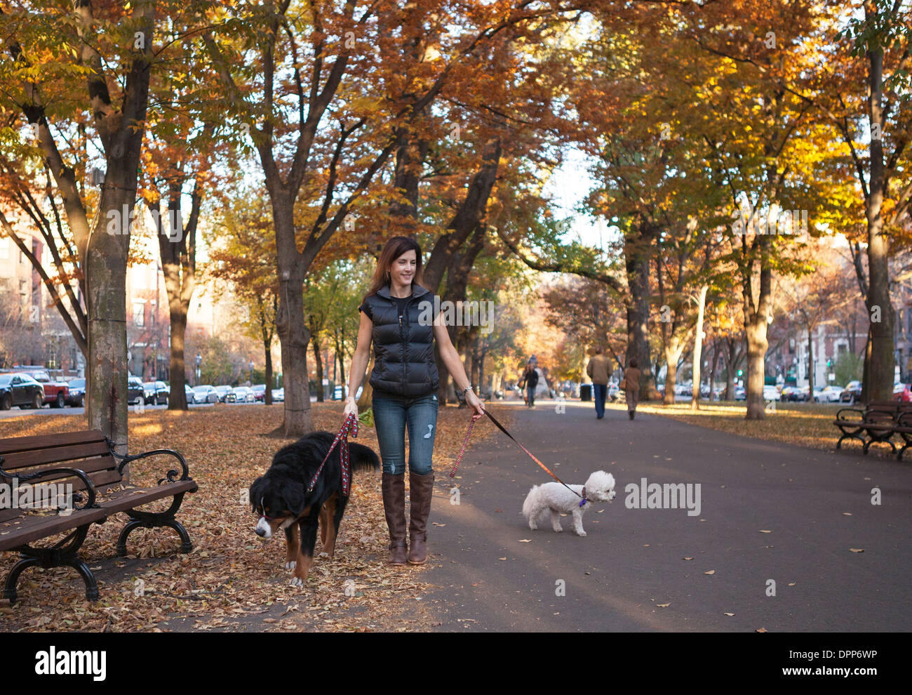 Female Walks Her Dog High Resolution Stock Photography and Images - Alamy