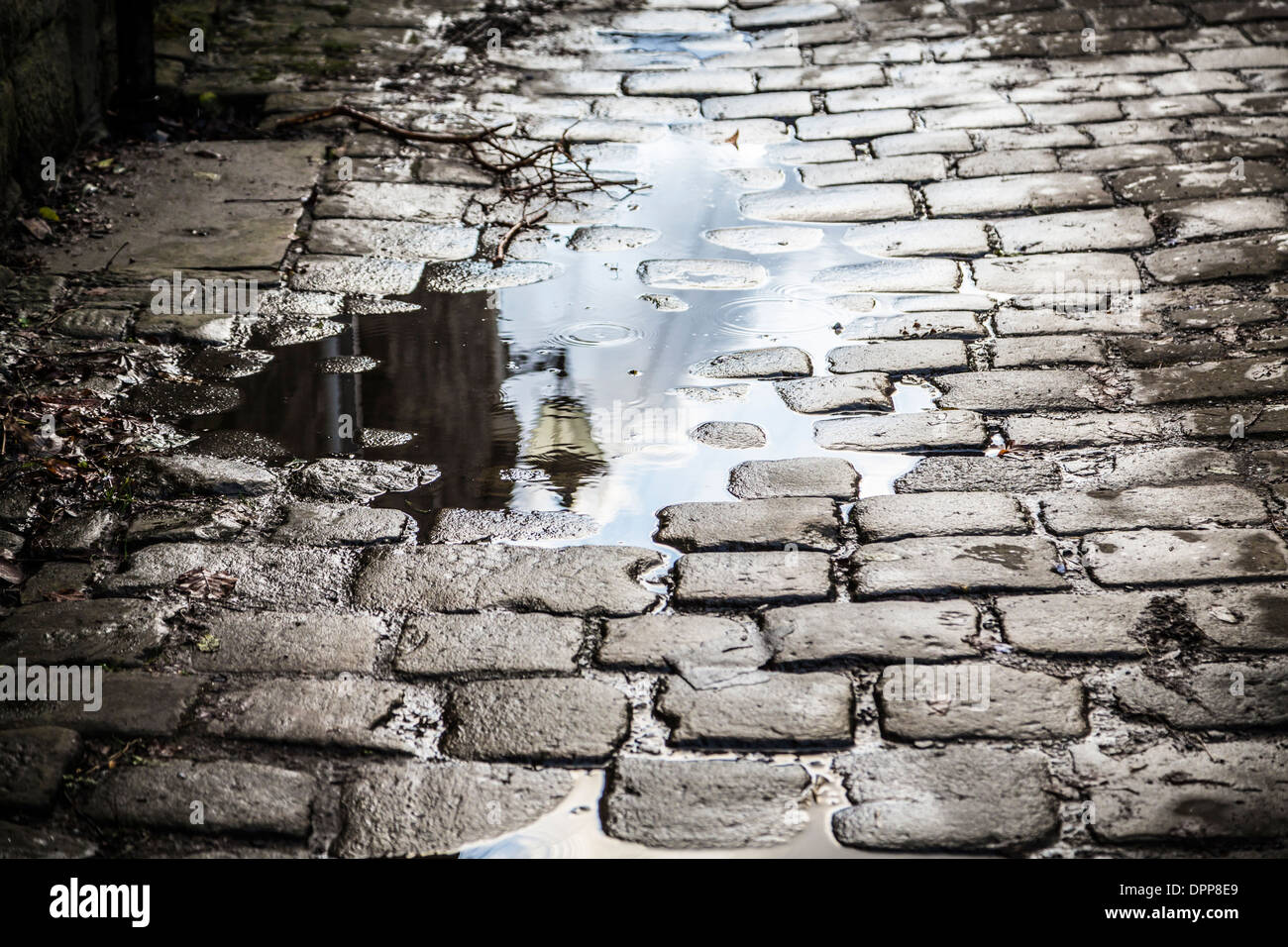 Streetlamp reflected in puddle Stock Photo - Alamy