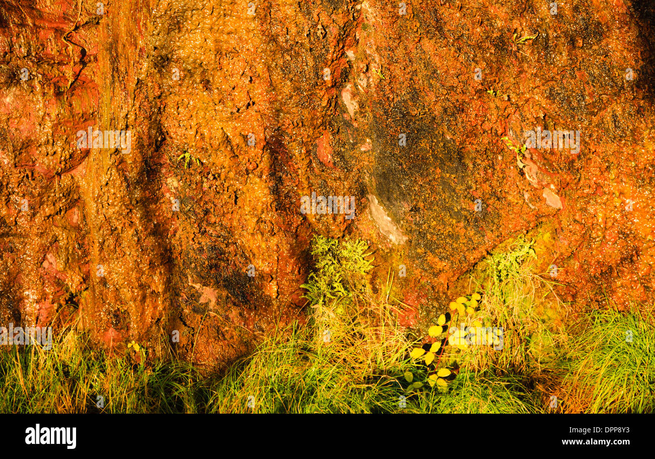 Background of orange wet stone rock wall texture outdoor Stock Photo ...