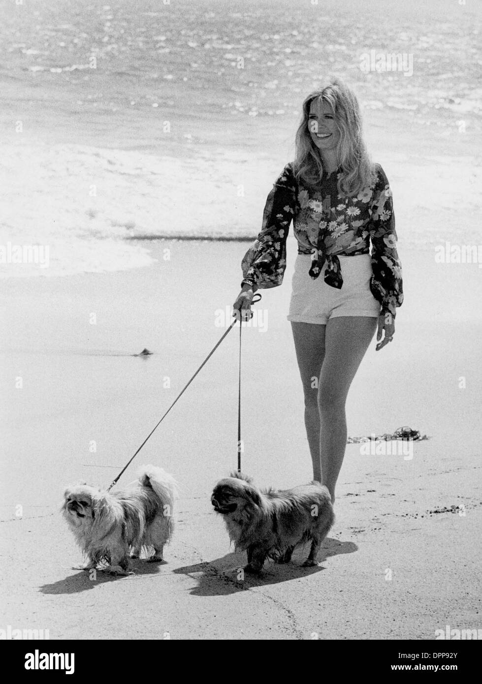 June 23, 2006 - LORETTA SWIT .SUPPLIED BY DM-(Credit Image: © Globe ...
