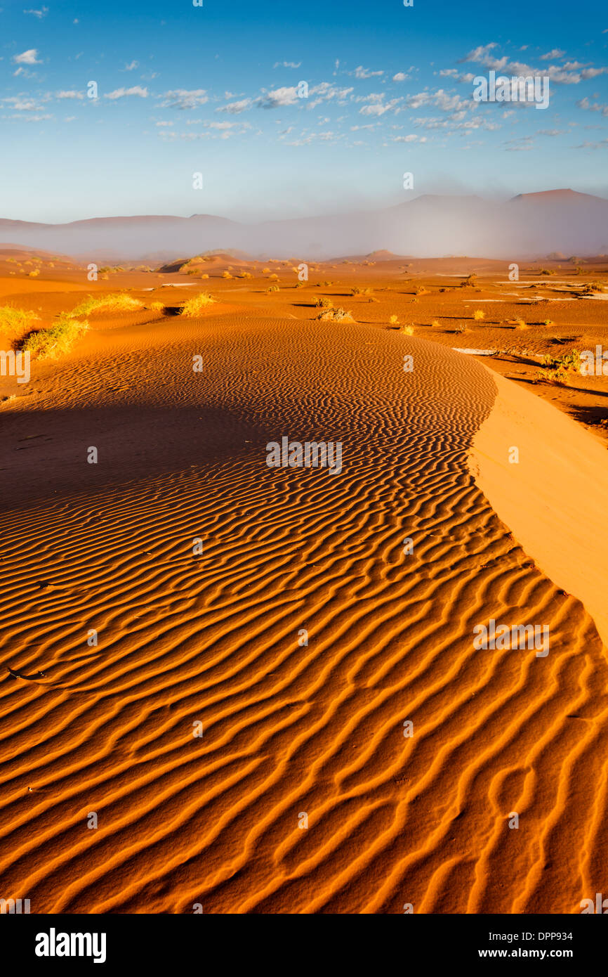 Edge of sand dune ridge shows rippled pattern of windswept side of ...
