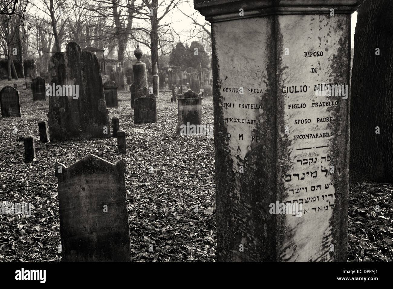 Finzi hi-res stock photography and images - Alamy