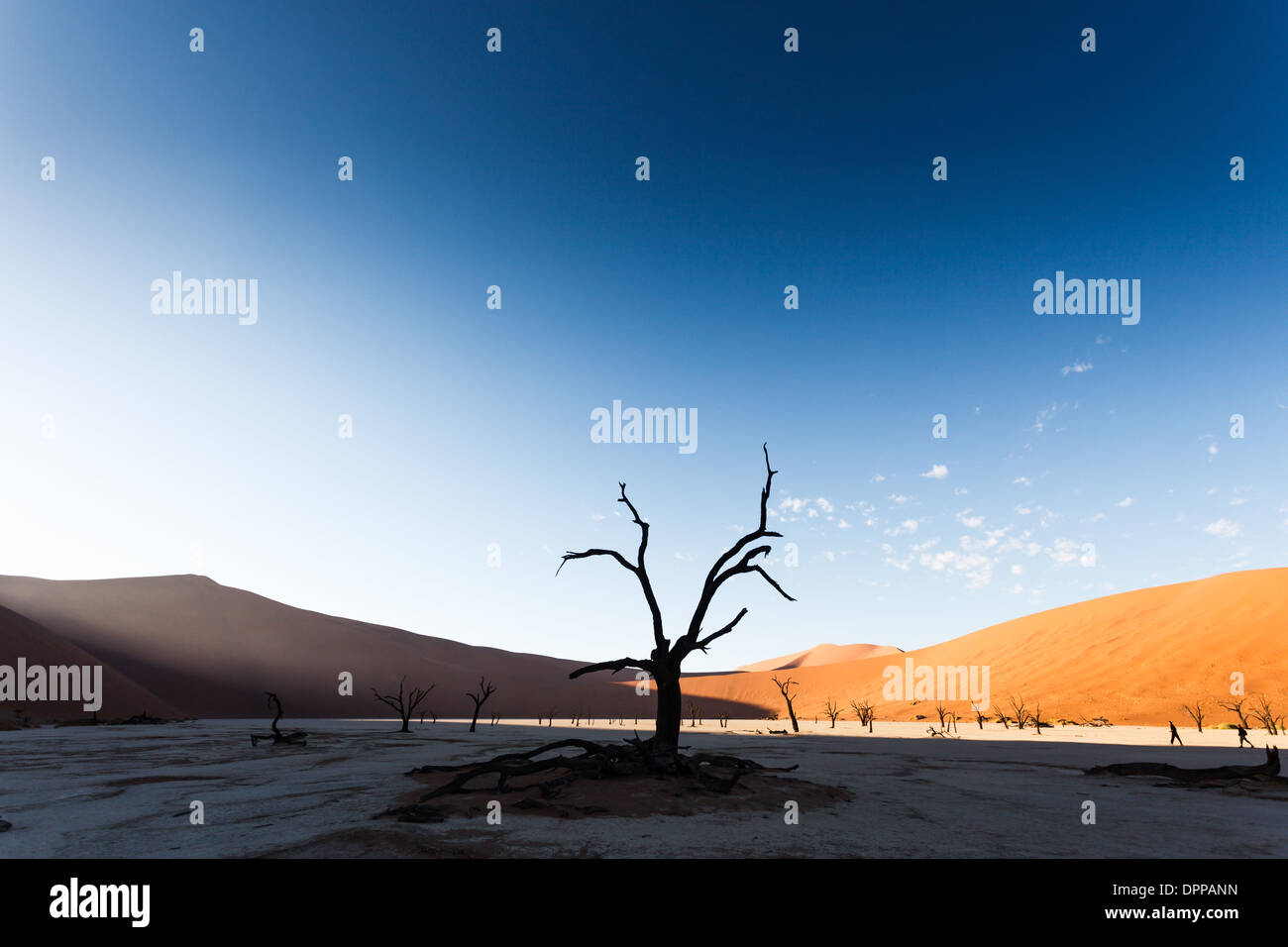 Bright sunrise illuminated parts of red sand dune while desert floor ...