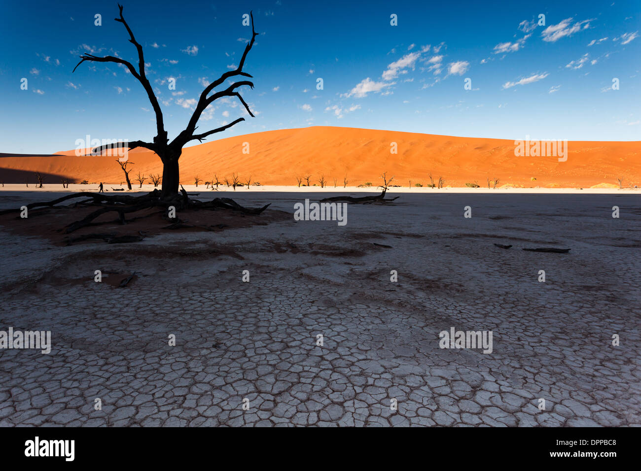 Bright sunrise illuminated parts of red sand dune while cracked dry ...