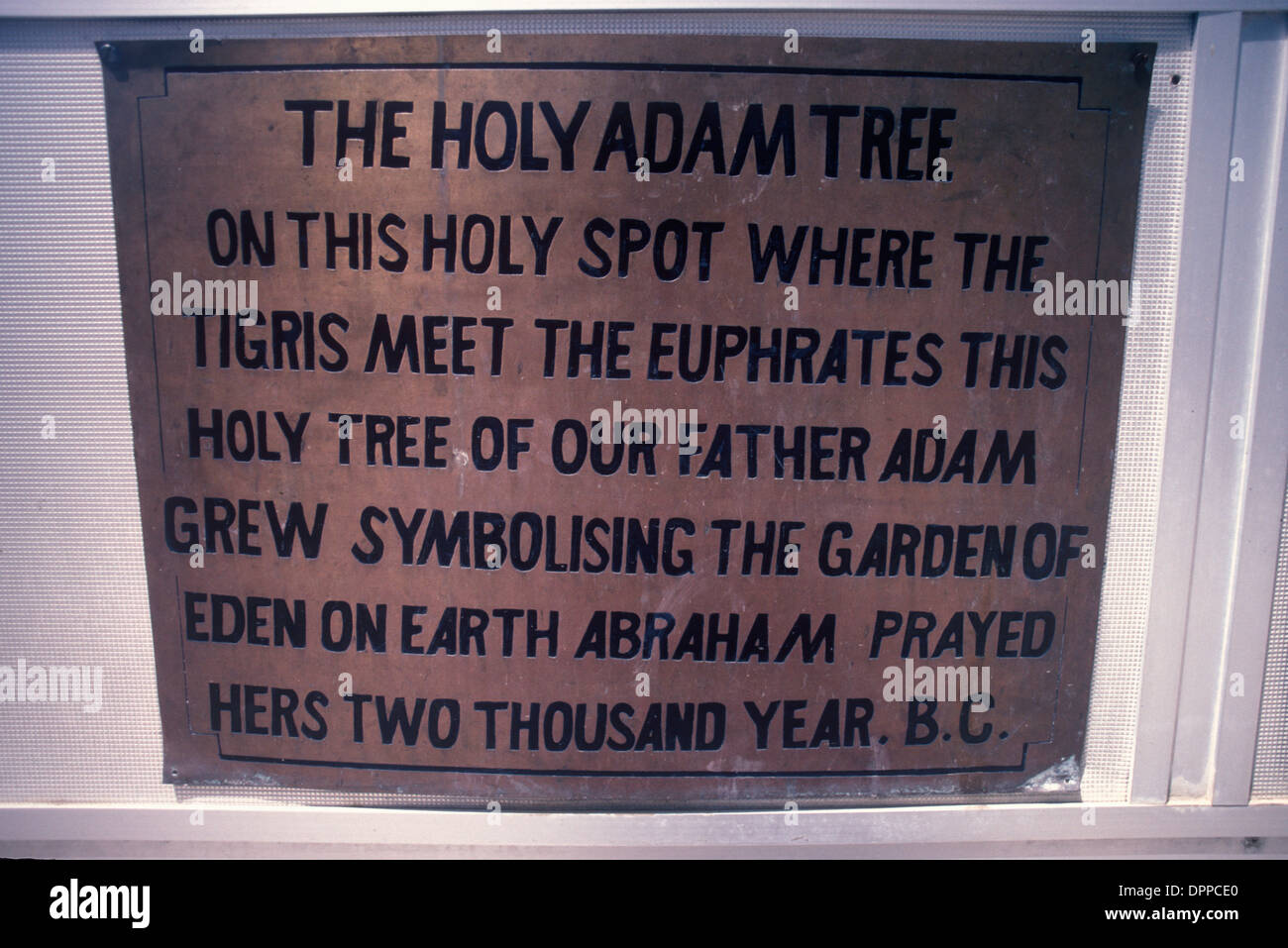 Eden adams hi-res stock photography and images - Alamy