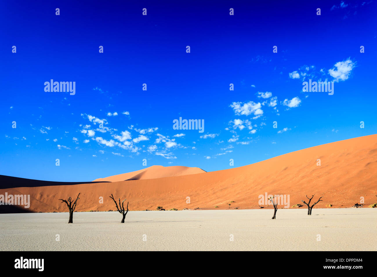 Grey gray mud hi-res stock photography and images - Alamy