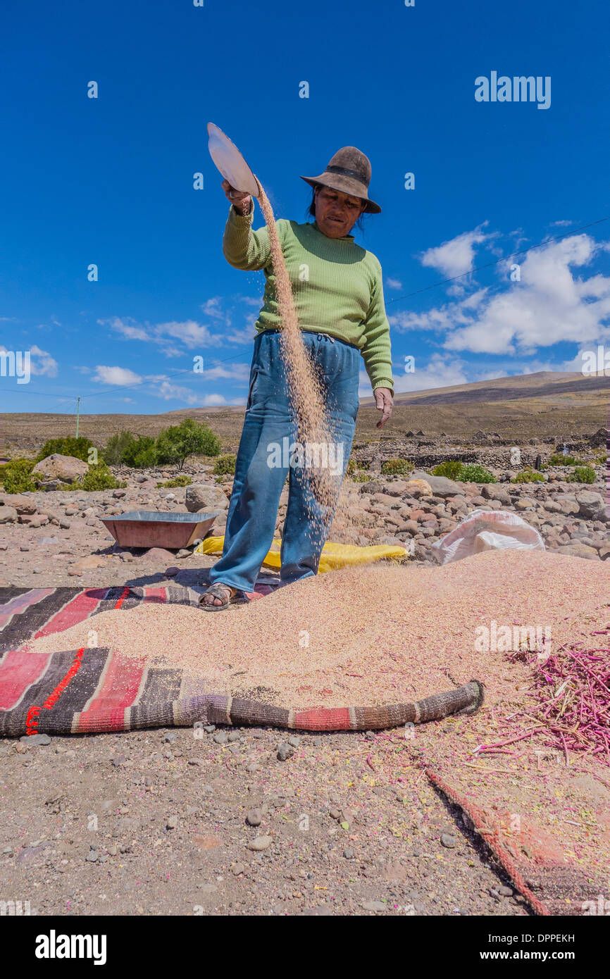 Quinoa bolivia hi-res stock photography and images - Alamy
