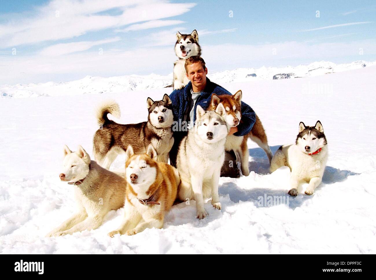 Paul walker dogs eight below hi-res stock photography and images - Alamy