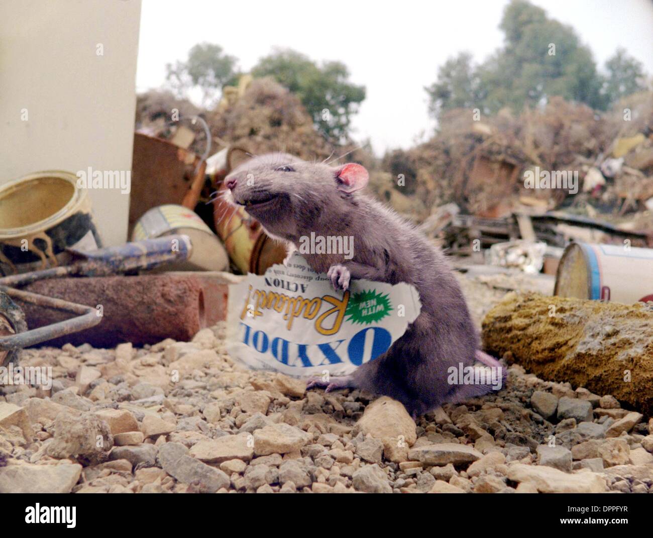 Charlottes web templeton 2006 hi-res stock photography and images - Alamy