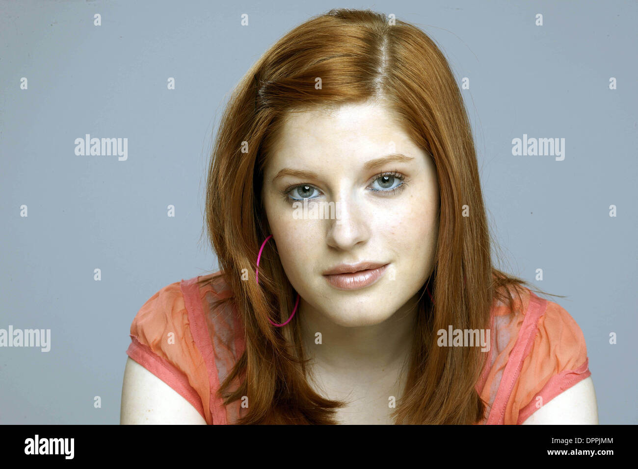 Zena Grey Shaggy Dog