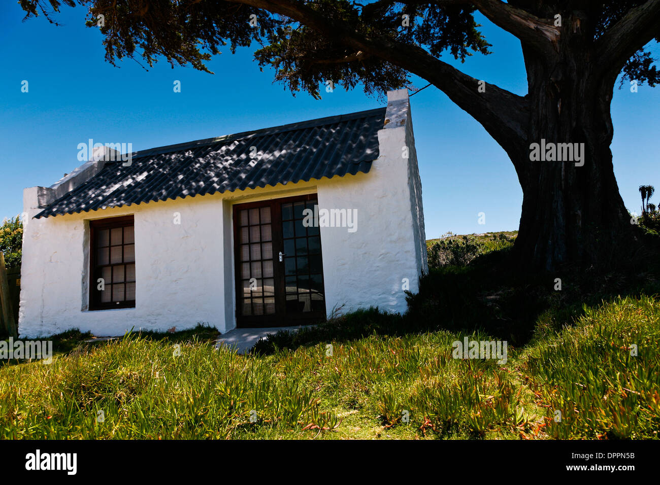 Small house under a tree in South Africa Stock Photo - Alamy