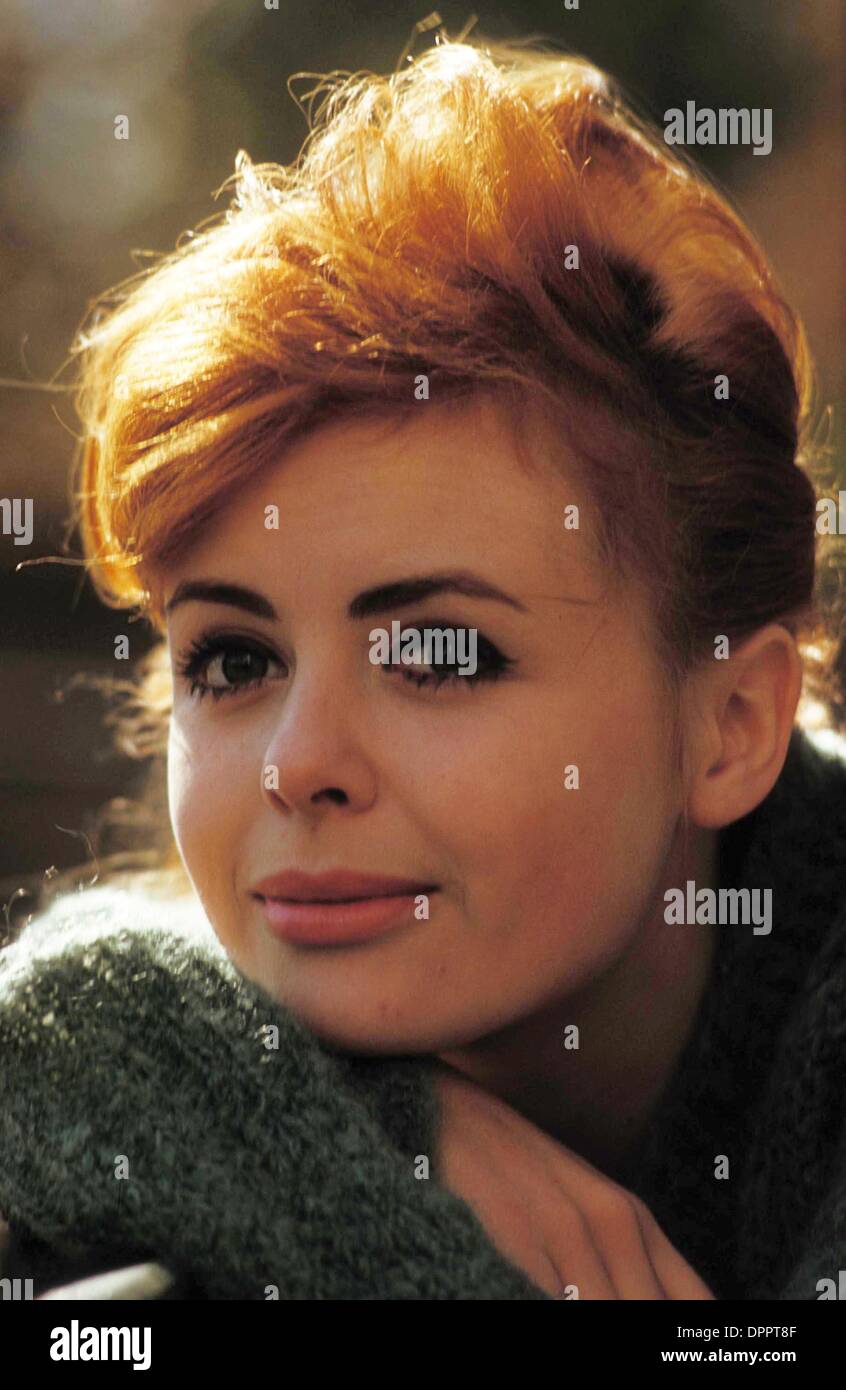 Nancy Walley's Instagram, Twitter & Facebook on IDCrawl