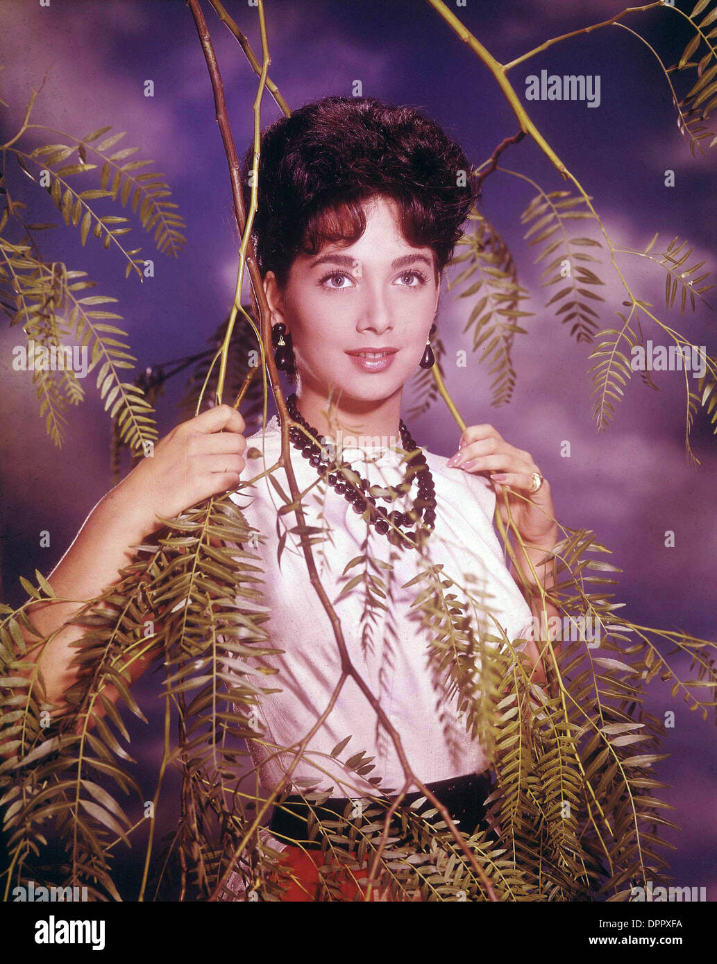 Suzanne pleshette 2006 hi-res stock photography and images - Alamy
