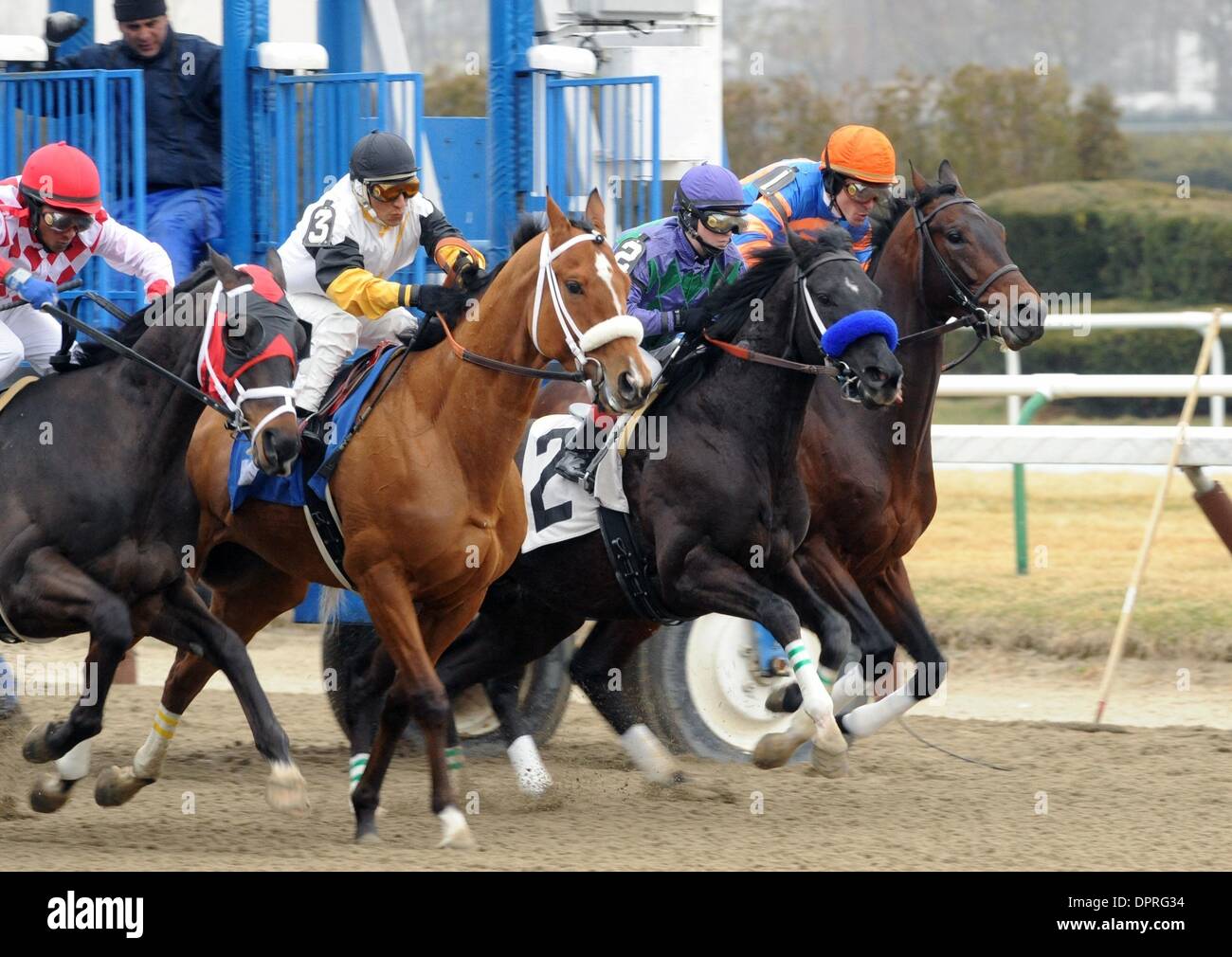 Mar 26, 2009 - Queens, New York, USA - Jockey ANNA ROSE "ROSIE ...