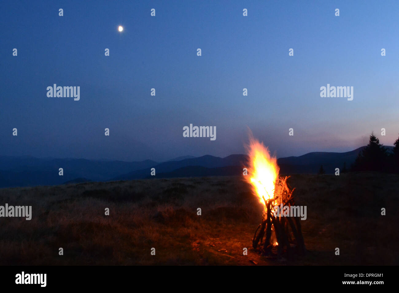 stick tree bonfire night orange grass campfire light smoke moon vesper ...