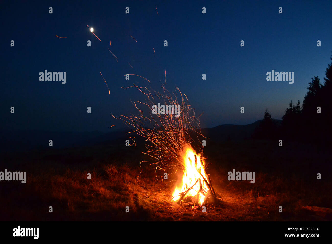 stick tree bonfire night orange grass campfire light smoke moon vesper ...