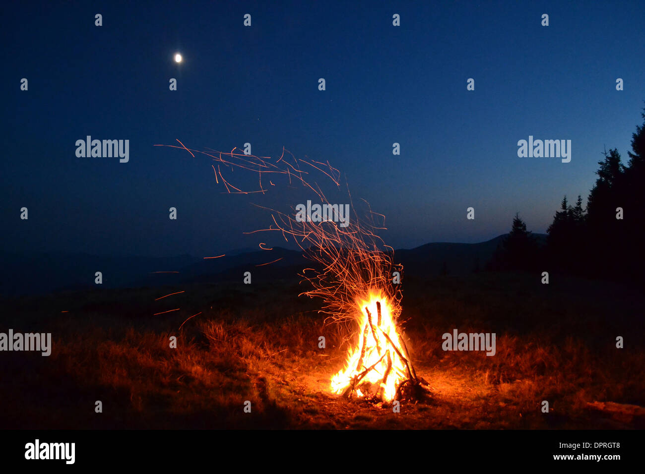 stick tree bonfire night orange grass campfire light smoke moon vesper ...