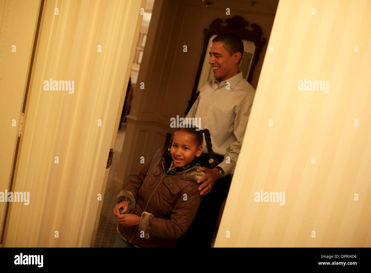 Callie shell hi-res stock photography and images - Alamy