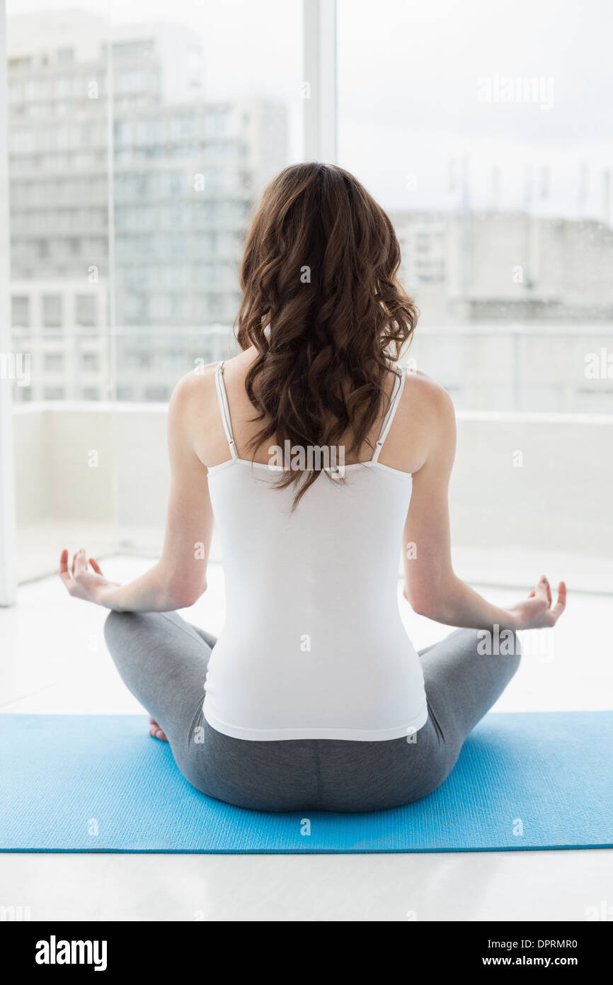 Rear view slender brunette woman hi-res stock photography and images ...