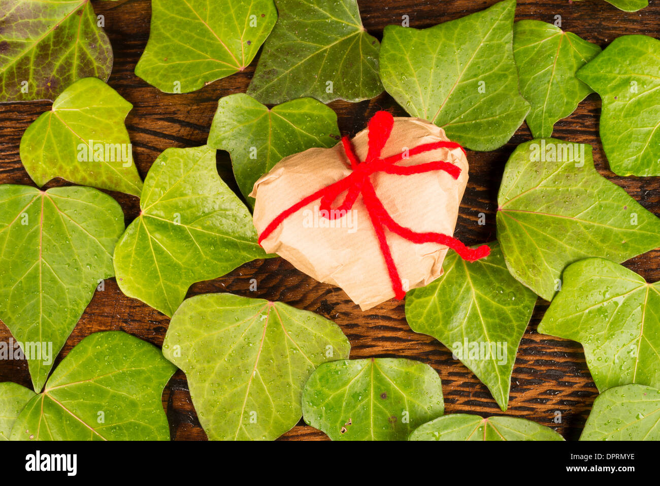 Heart shaped Valentines present among fresh ivy leaves Stock Photo - Alamy