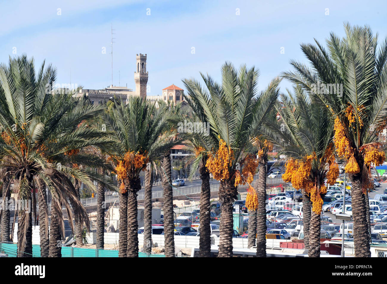 Dec 09, 2008 - Jerusalem, Israel - Palm trees. The towering walls ...