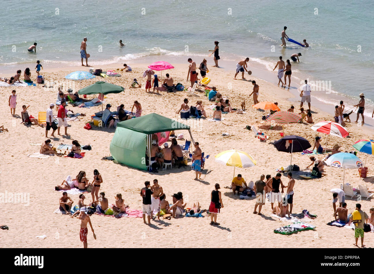 Dec 31, 2008 - Jerusalem, Israel - Photos of Israel Landscape. (Credit ...