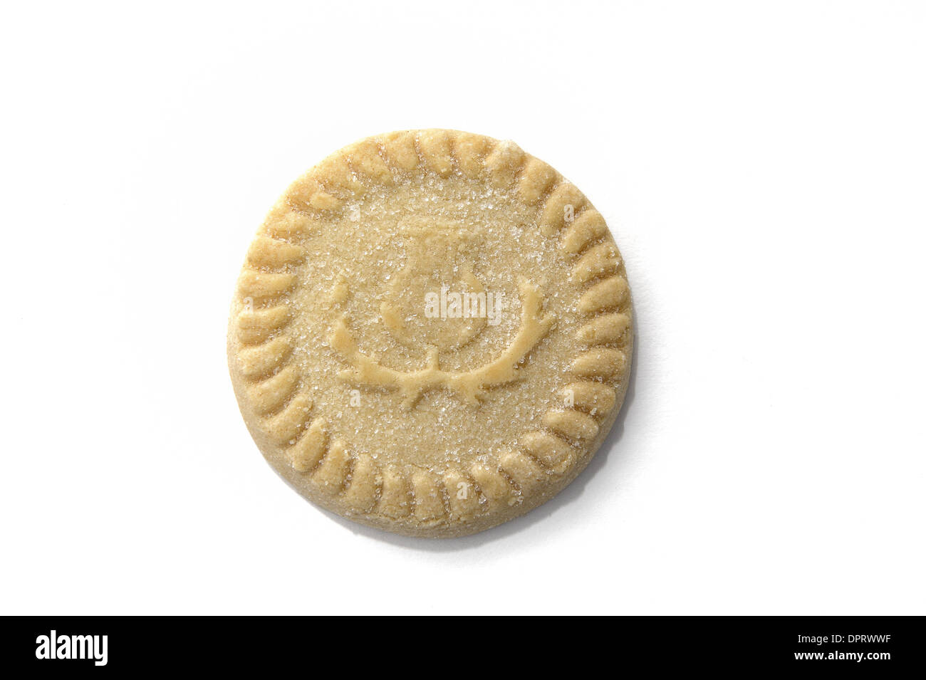 Scottish thistle Cut Out Stock Images & Pictures - Alamy