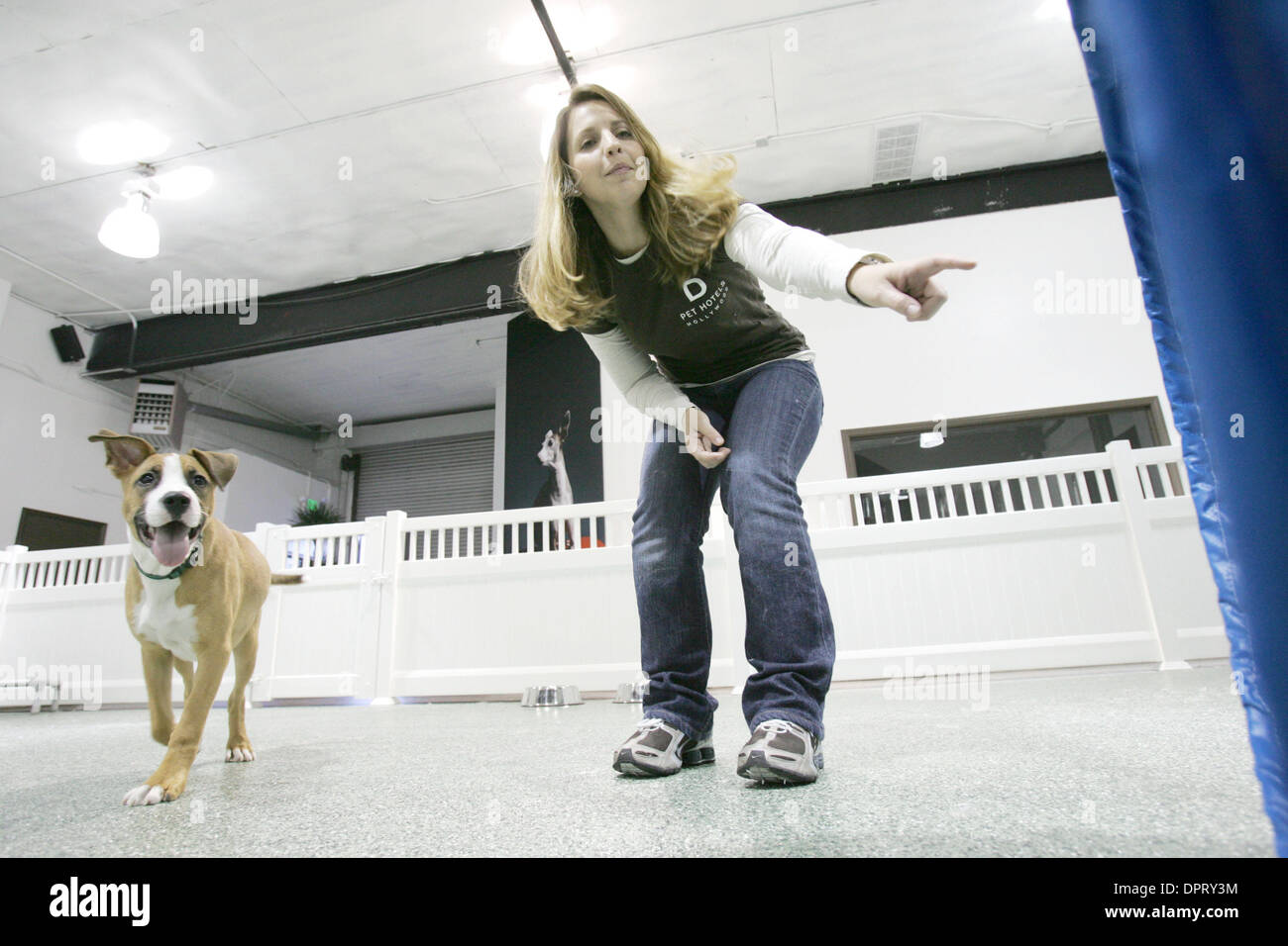 Luxury Dog Hotel Los Angeles