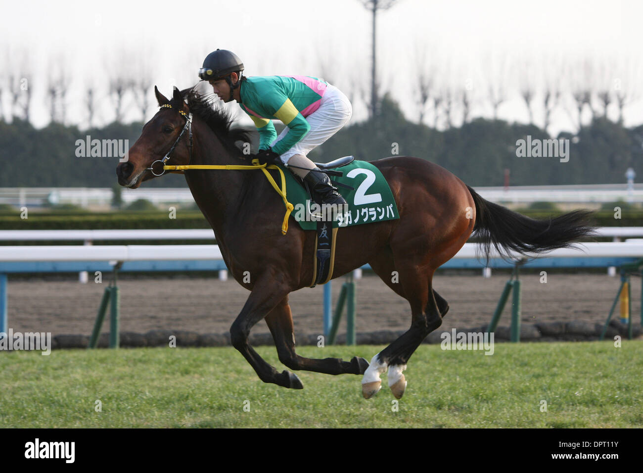 Yuichi kitamura hi-res stock photography and images - Alamy
