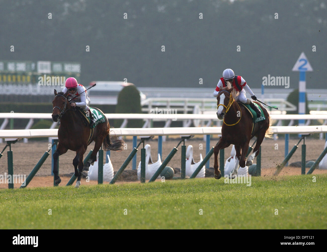 Shinzan kinen hi-res stock photography and images - Alamy