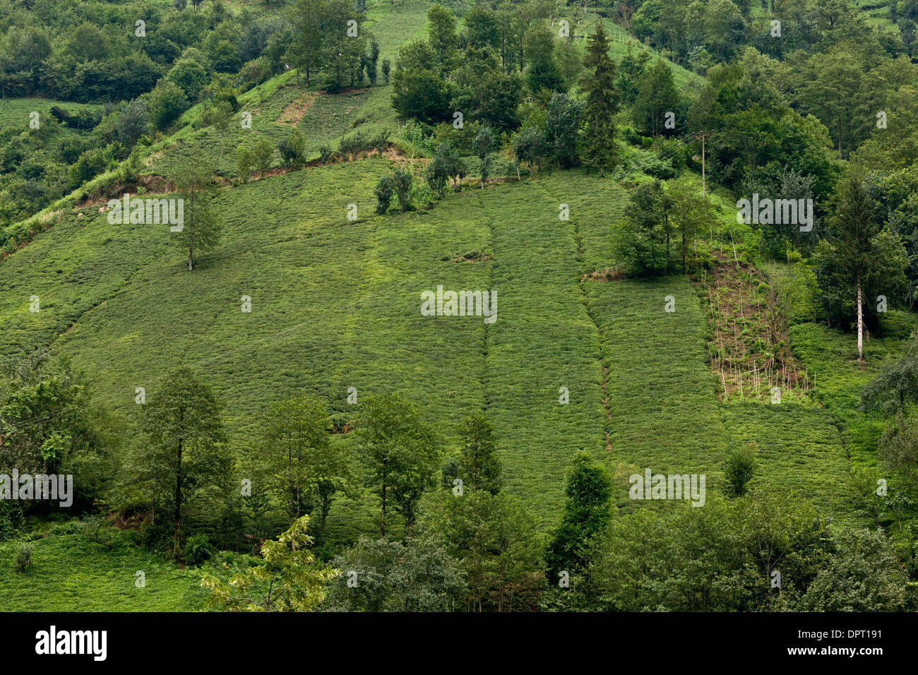 Firtina valley hi-res stock photography and images - Alamy