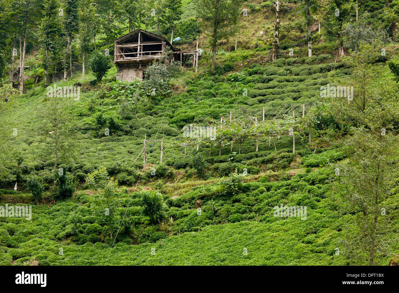 Firtina valley hi-res stock photography and images - Alamy