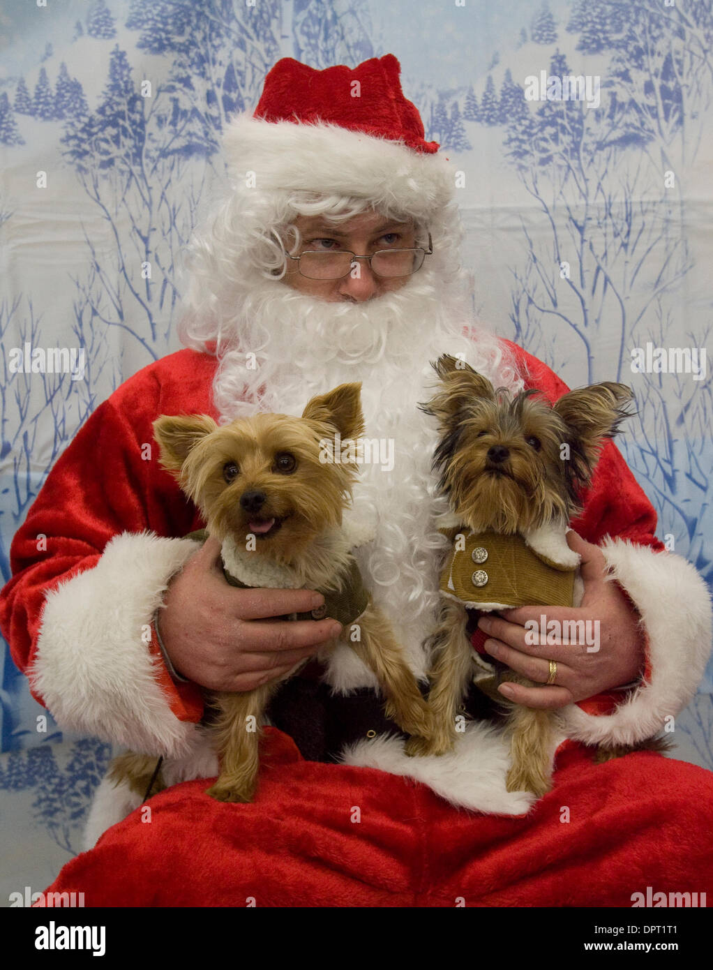 Bailey owners hi-res stock photography and images - Alamy