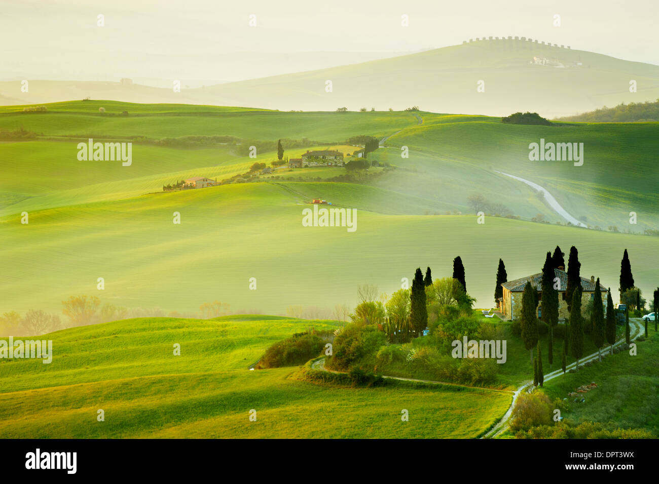 morning on countryside in Tuscany Stock Photo - Alamy