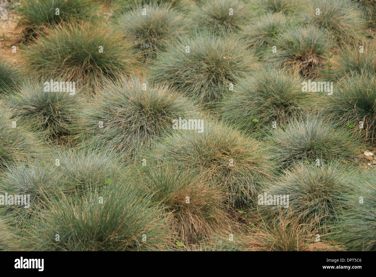 Hummocky landscape hi-res stock photography and images - Alamy