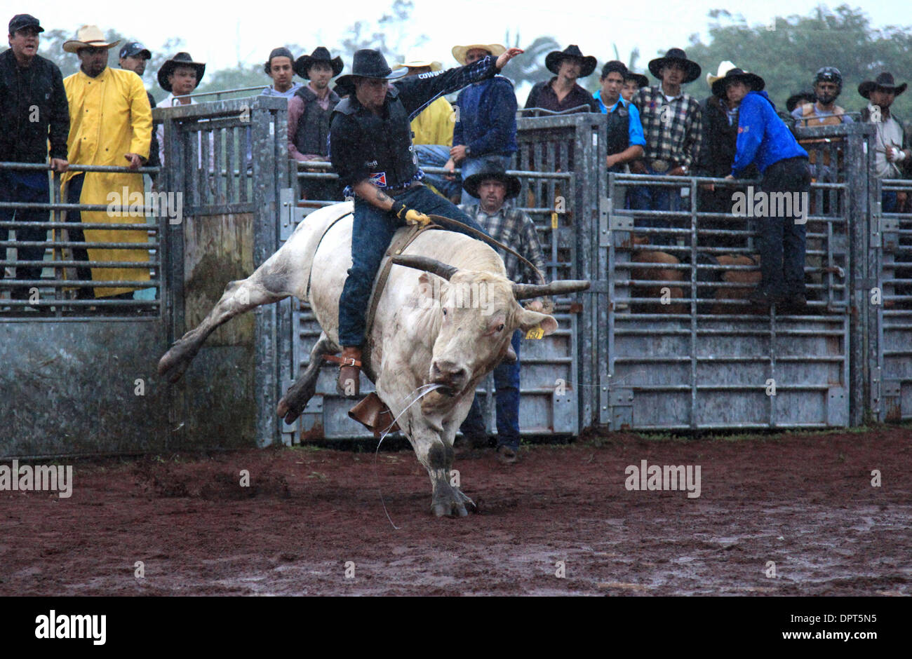 Feb 15, 2009 - Hilo, Hawaii, U.S. - A bull rider competes in the bull ...