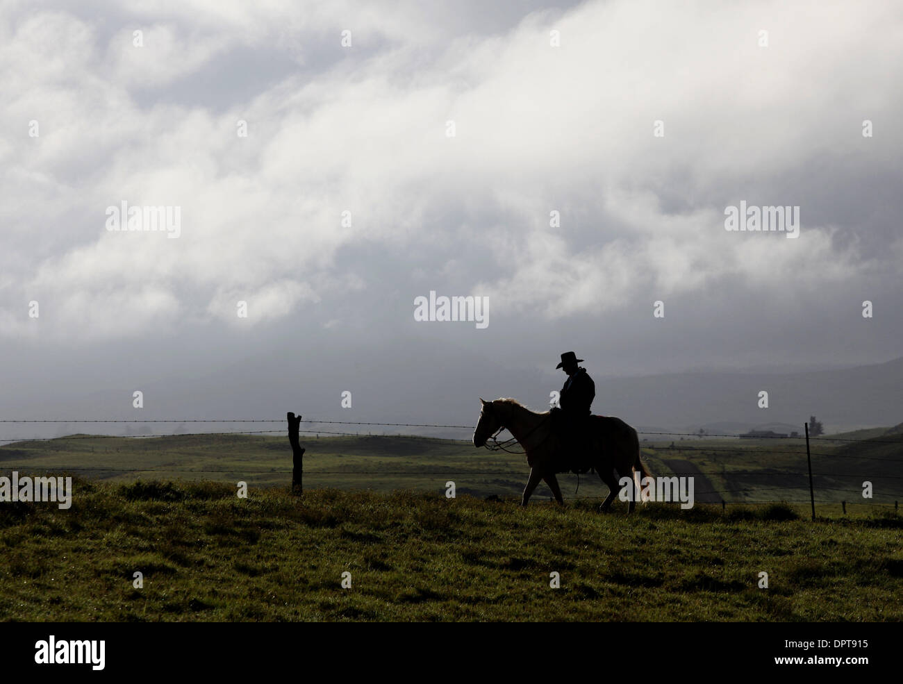 Apr 28, 2009 - Waimea, Hawaii, U.S. - Parker Ranch cowboys herd over ...