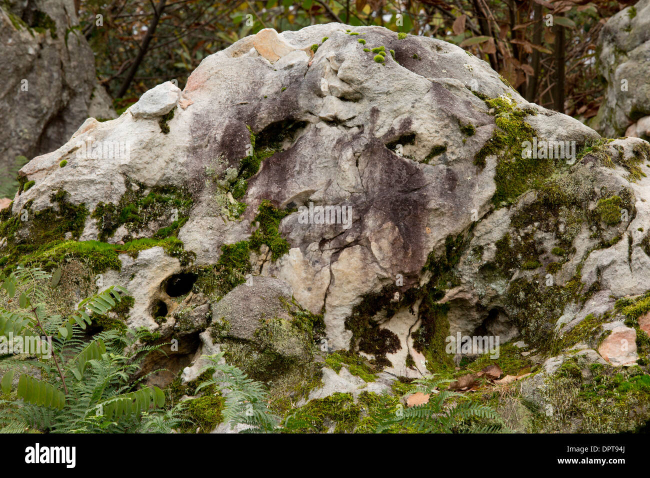 A sandstone polishing-stone for sharpening prehistoric flint axes and ...