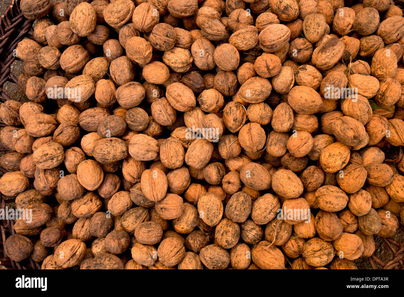 Walnuts For Sale High Resolution Stock Photography and Images - Alamy