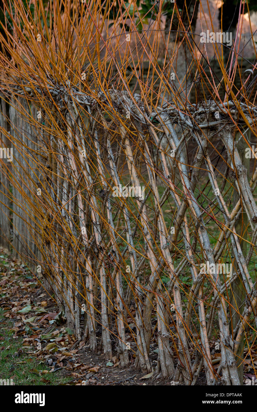 Willow fence hi-res stock photography and images - Alamy