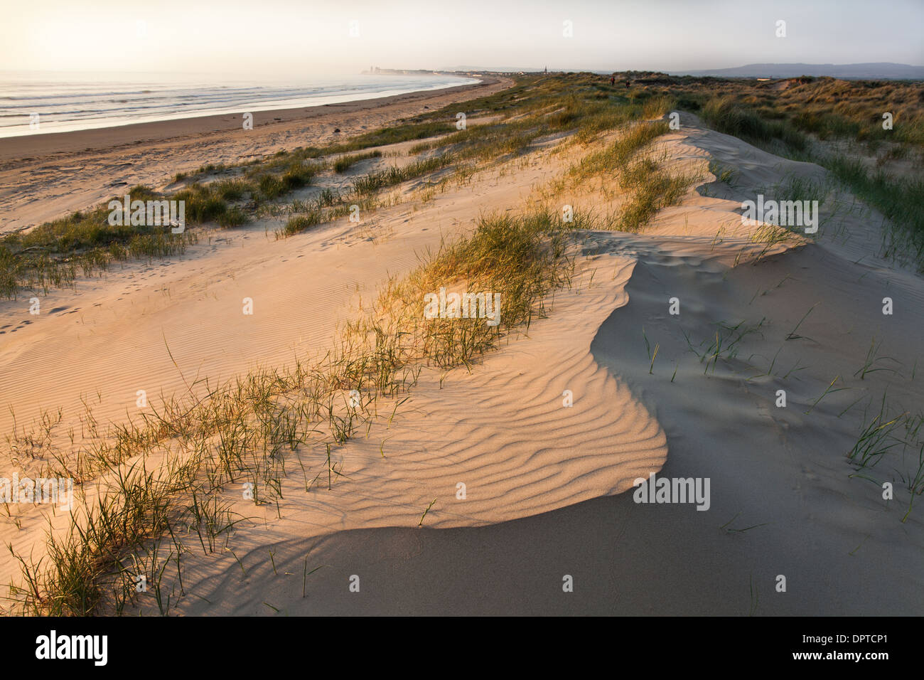 Coatham Beach Sand Dunes, Redcar, Cleveland,England Stock Photo - Alamy