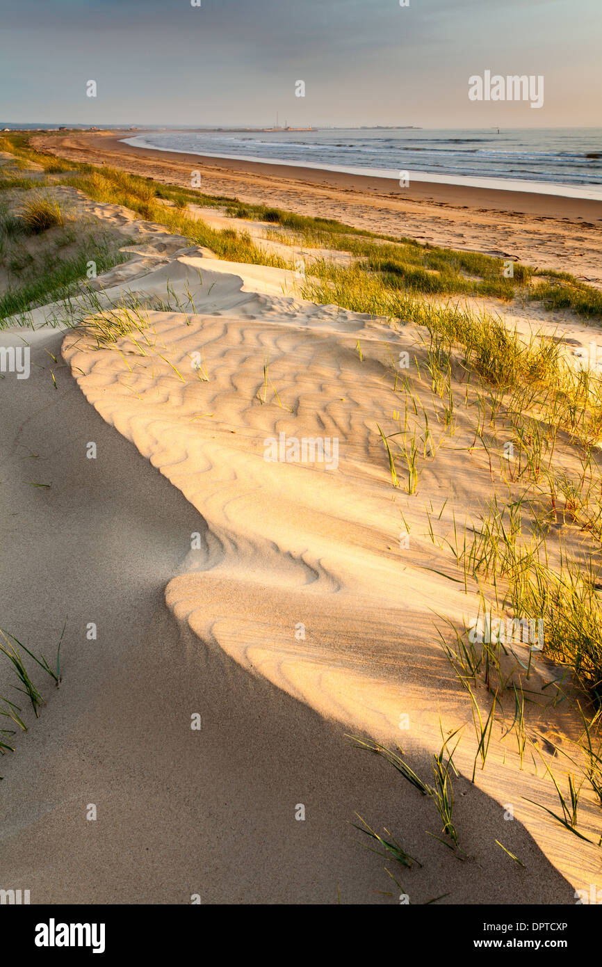 Coatham Beach Sand Dunes, Redcar, Cleveland,England Stock Photo - Alamy