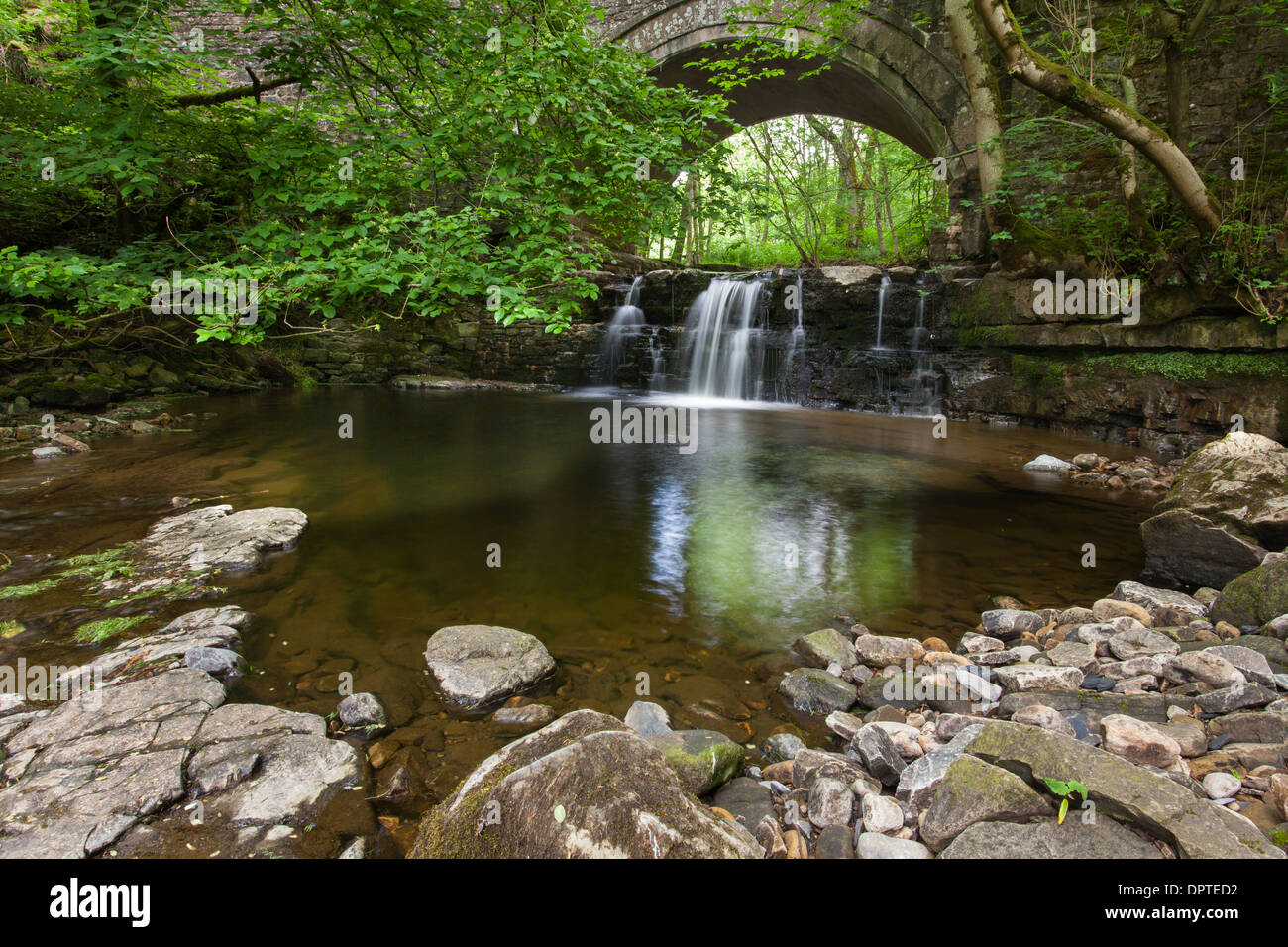 Waterfall on Bowlees Besck, Bowless, Upper Teesdale, England Stock ...