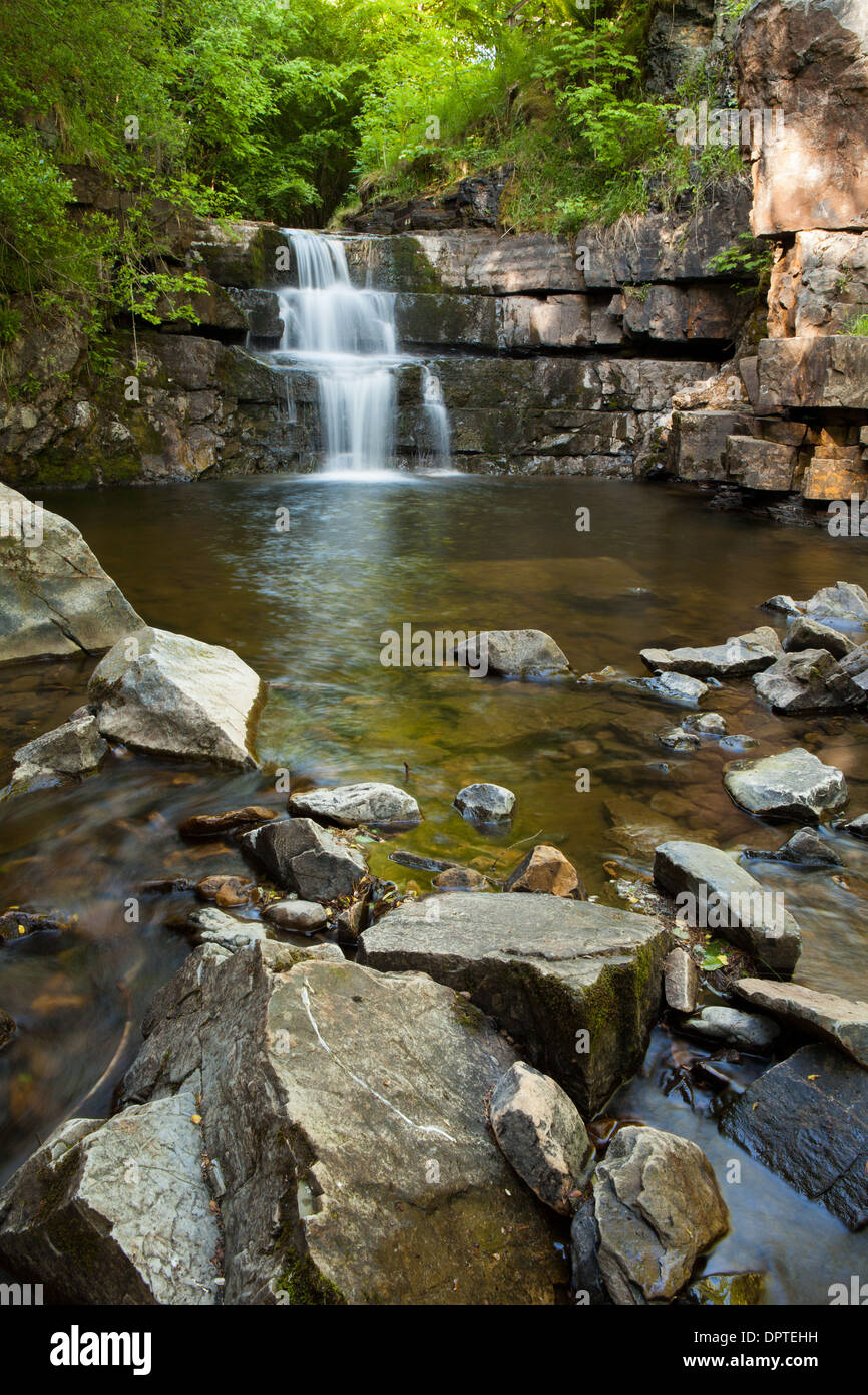 Waterfall, Bowlees Beck, Bowlees, Upper Teesdale, England Stock Photo ...