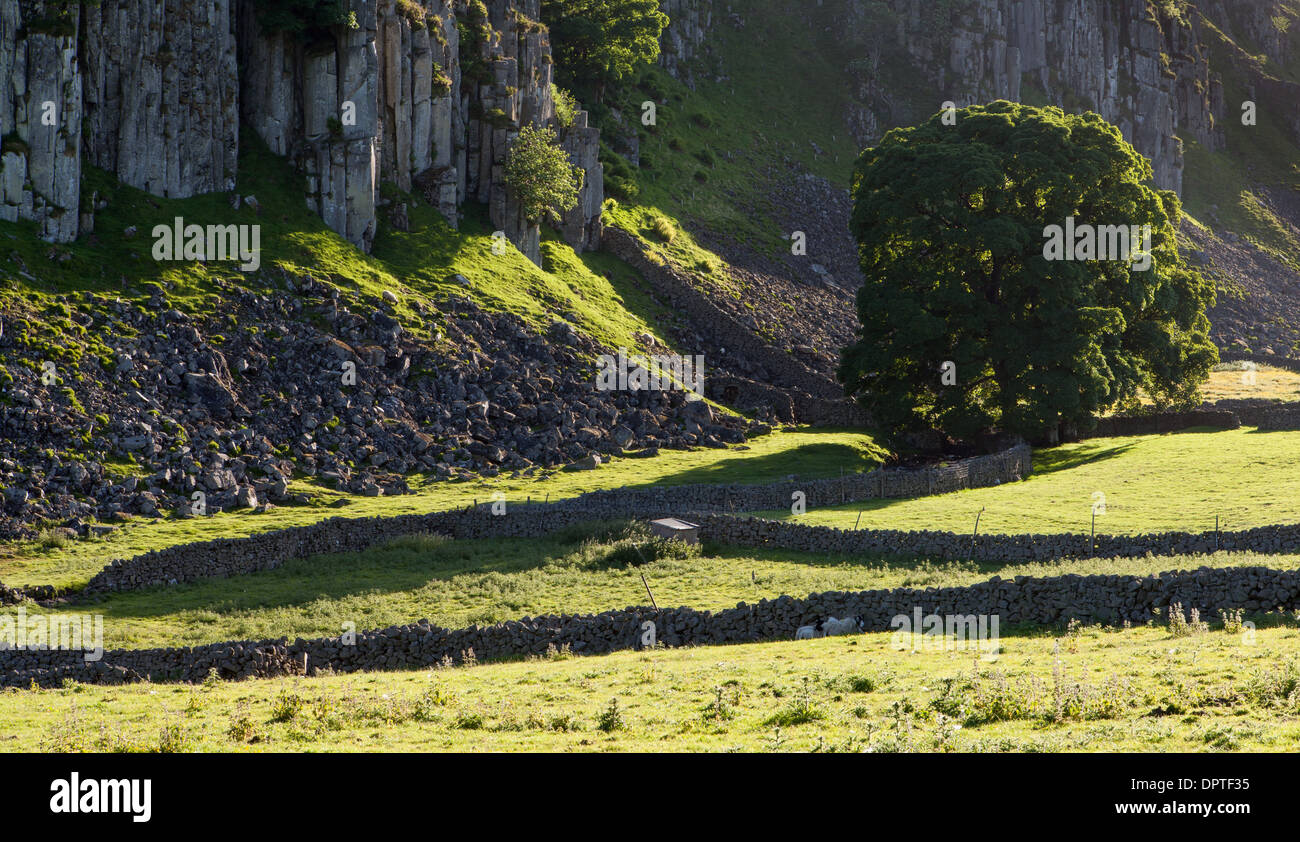 Holwick hi-res stock photography and images - Alamy