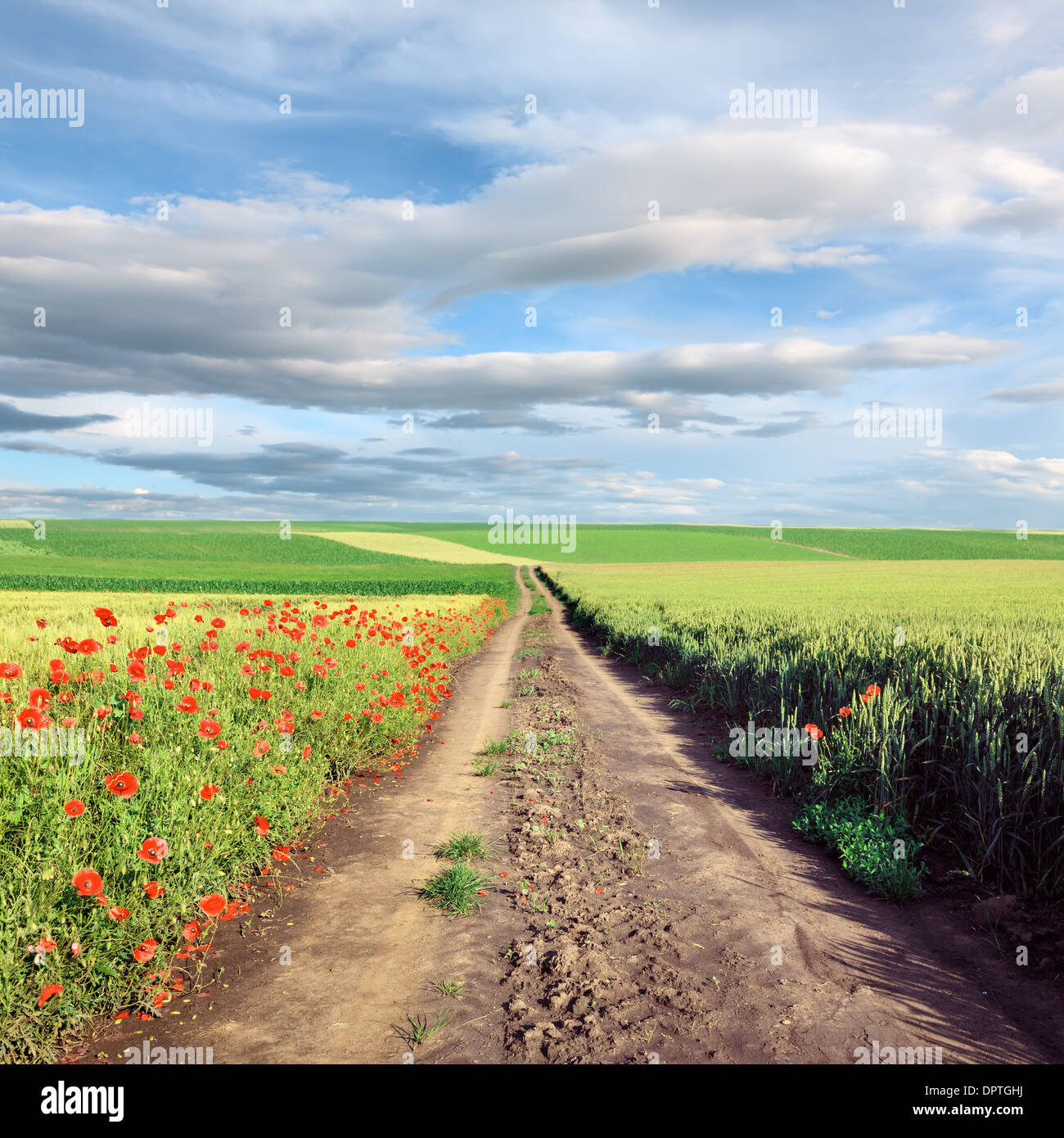 Agricultural aspirations hi-res stock photography and images - Alamy