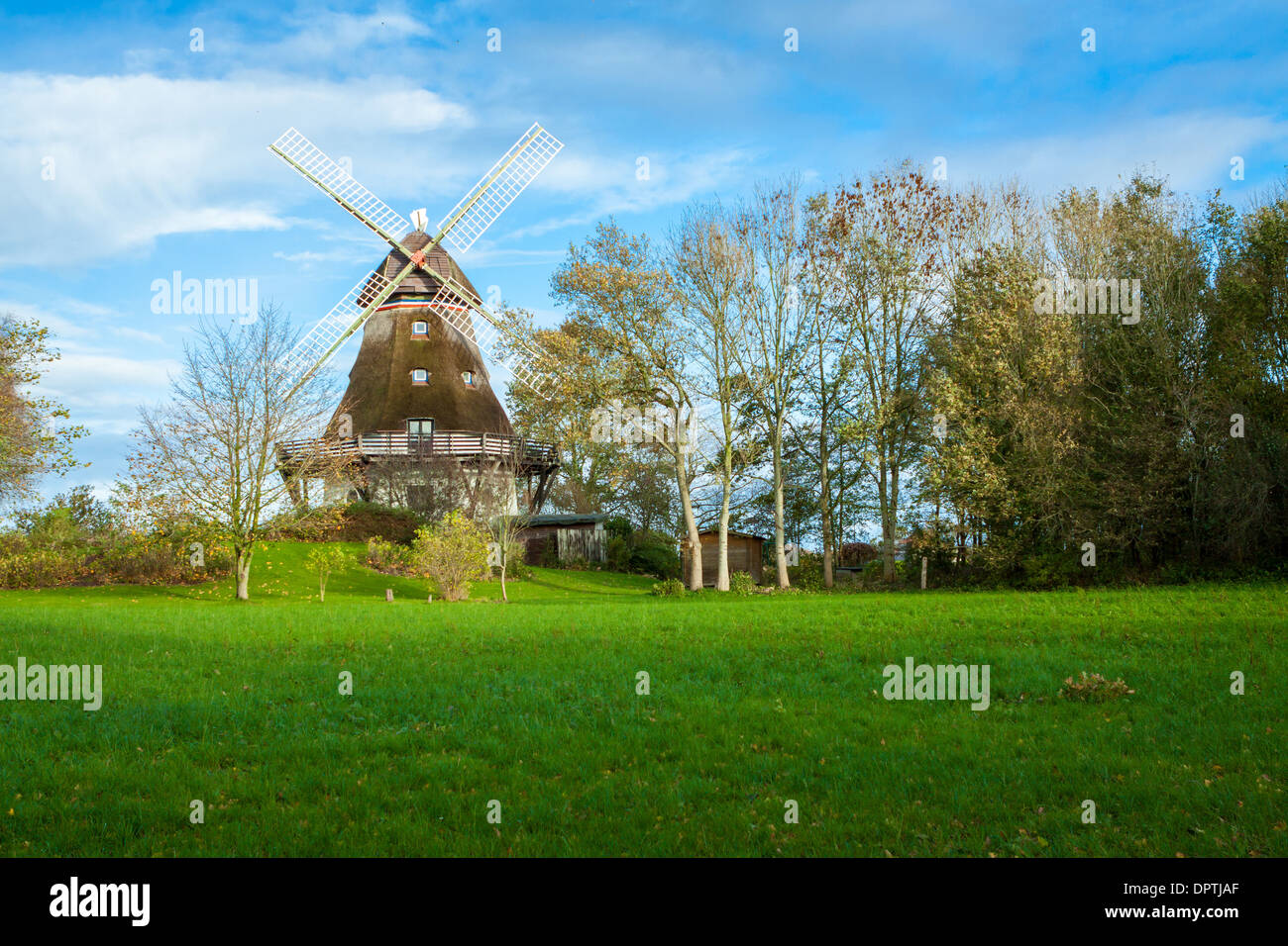 Traditional wooden windmill in a lush garden with four sails or blades ...