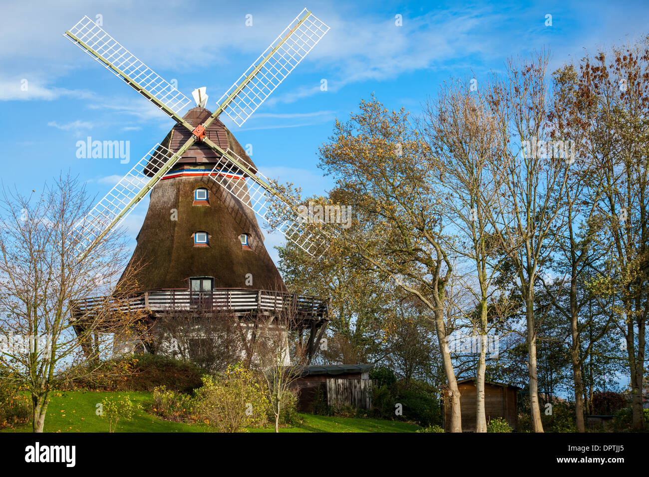 Traditional wooden windmill in a lush garden with four sails or blades ...