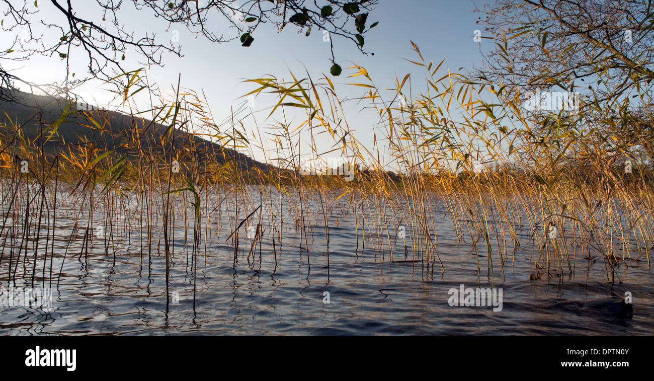 King arthur excalibur scotland hi-res stock photography and images - Alamy