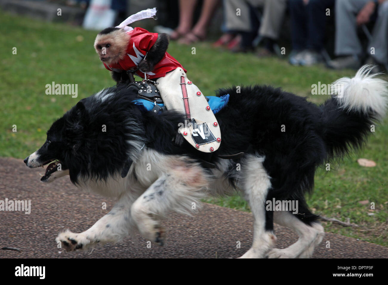 Juke joint festival and mississippi hi-res stock photography and images ...